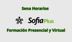 Sena Horarios